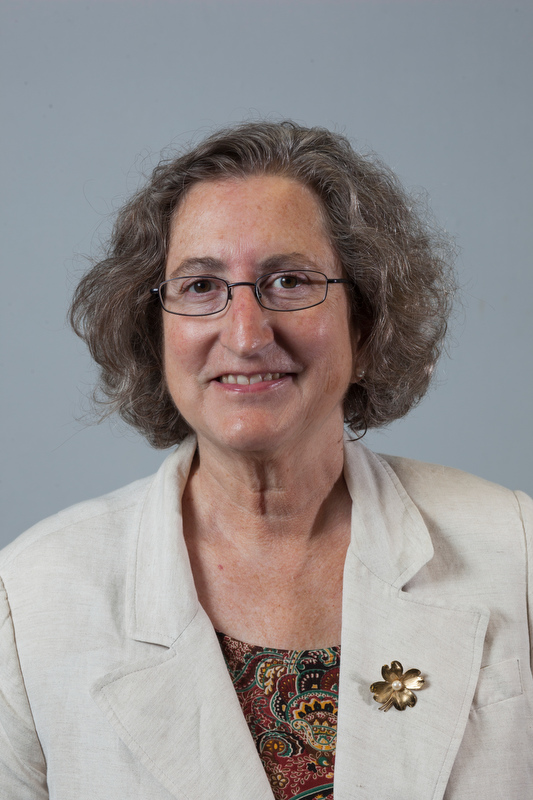 Board of Directors | IPAC | Integrating Professionals for Appalachian ...